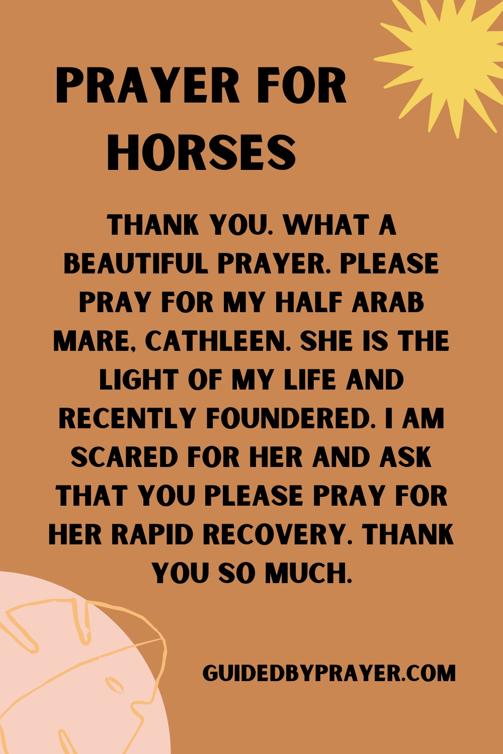 Prayer For Horses - Guided by Prayer
