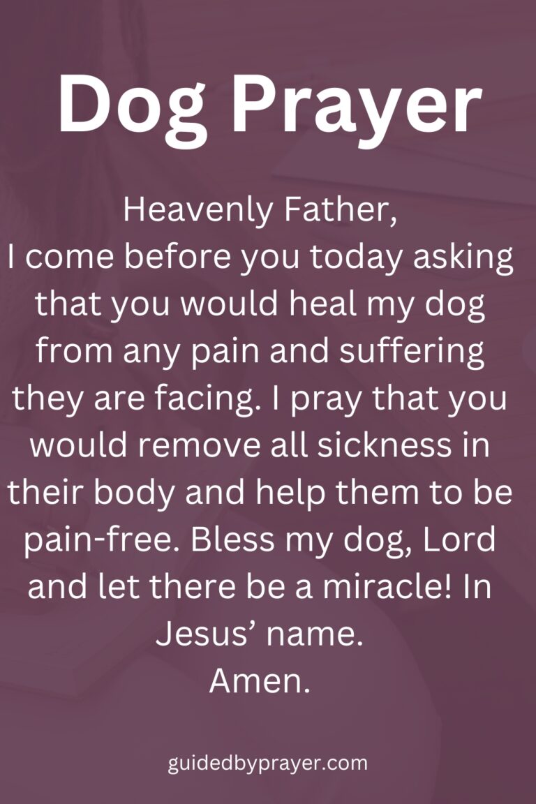 Dog Prayer - Guided by Prayer