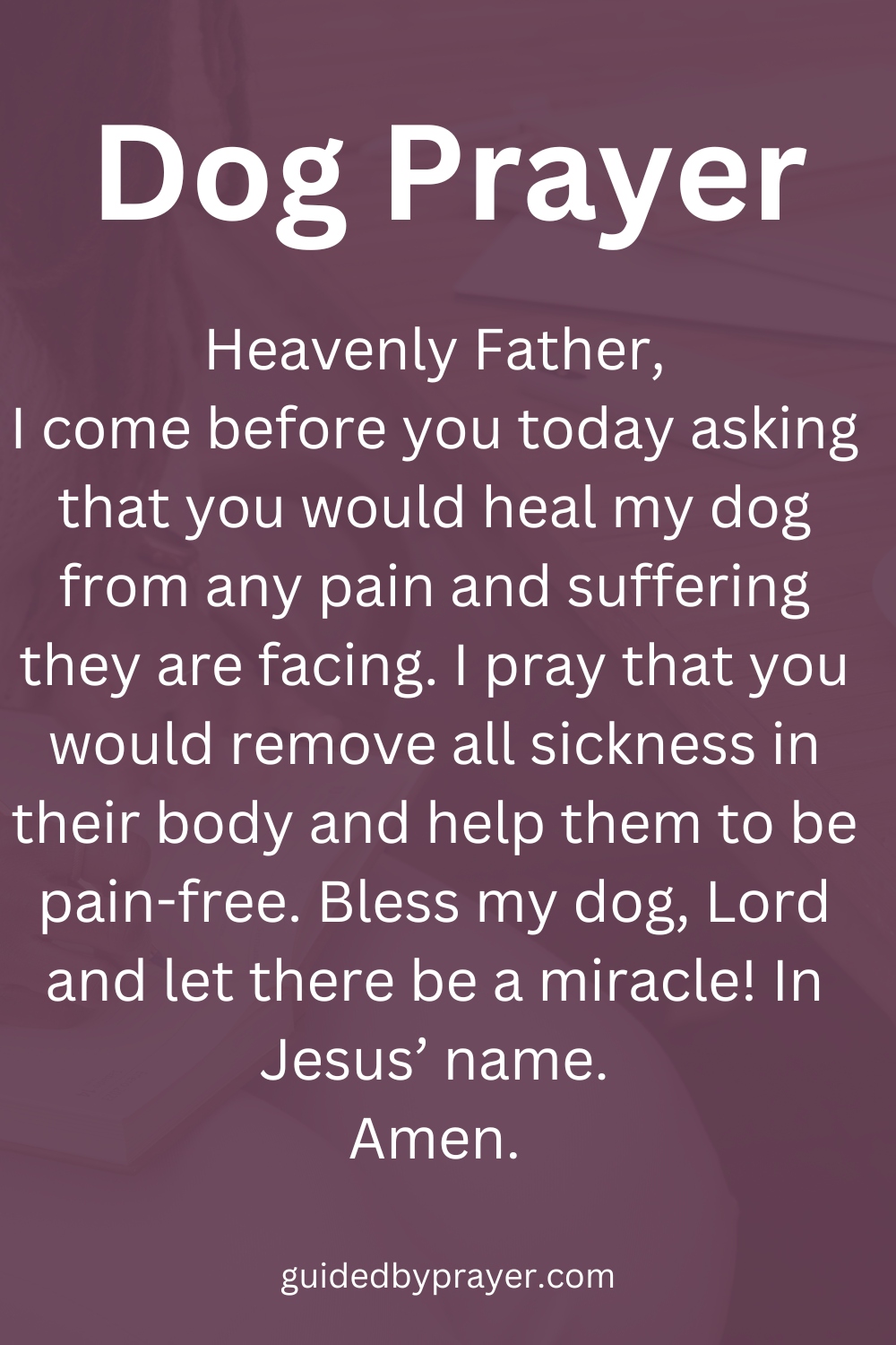 Dog Prayer - Guided by Prayer
